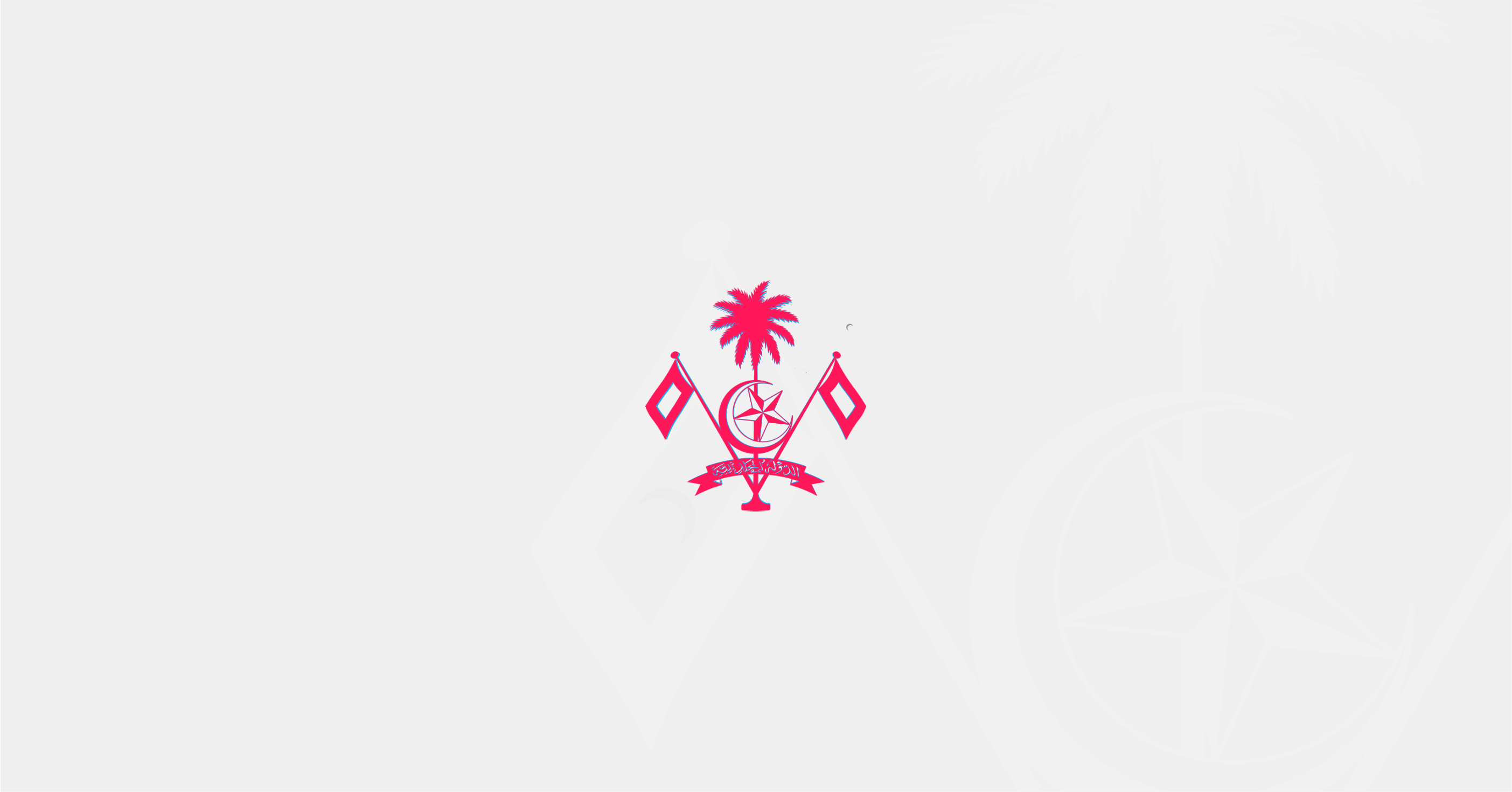 NDMA - Annual Report 2024